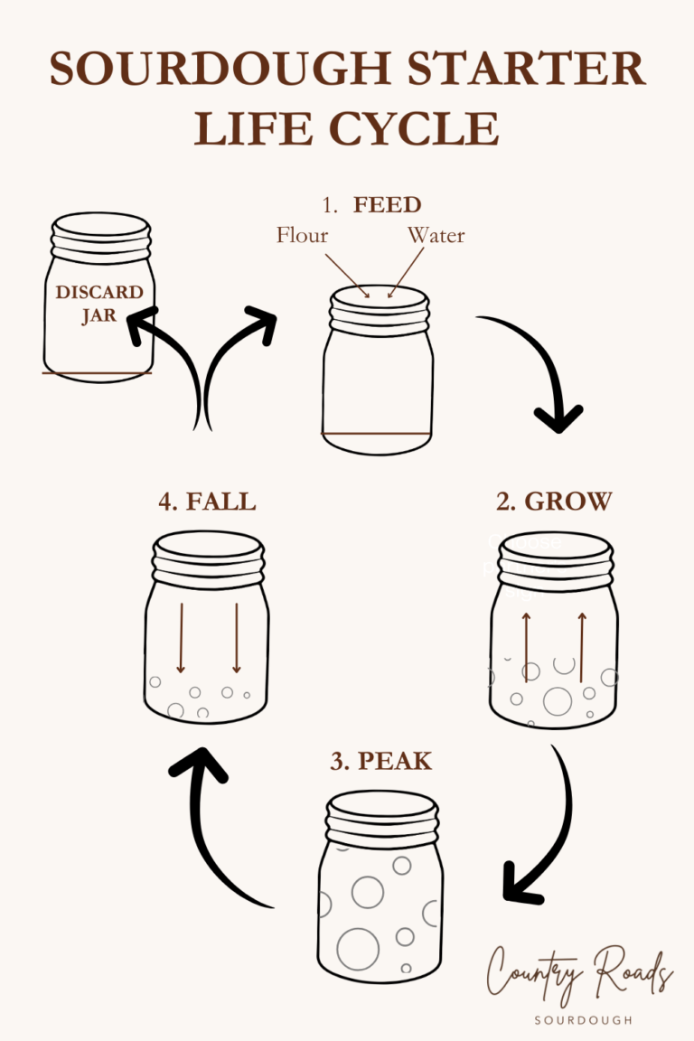 Sourdough Discard: Everything you Need to Know