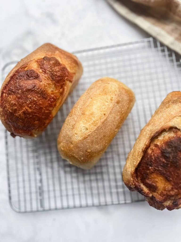 Mini Sourdough Bread Loaves - Country Roads Sourdough