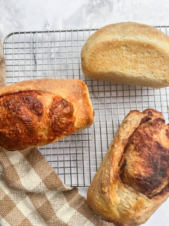 Mini Sourdough Bread Loaves - Country Roads Sourdough