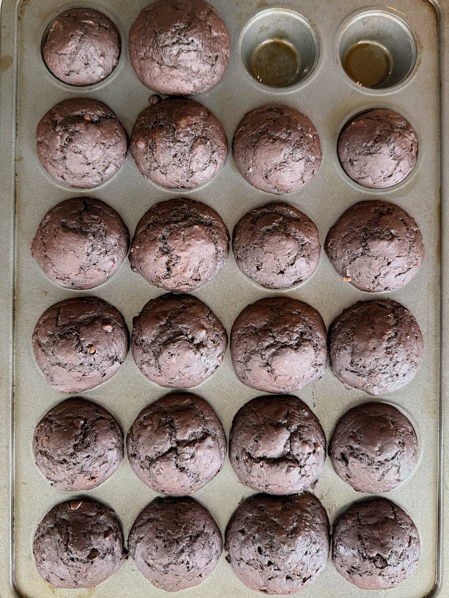 Sourdough Chocolate Mini Muffins - Country Roads Sourdough