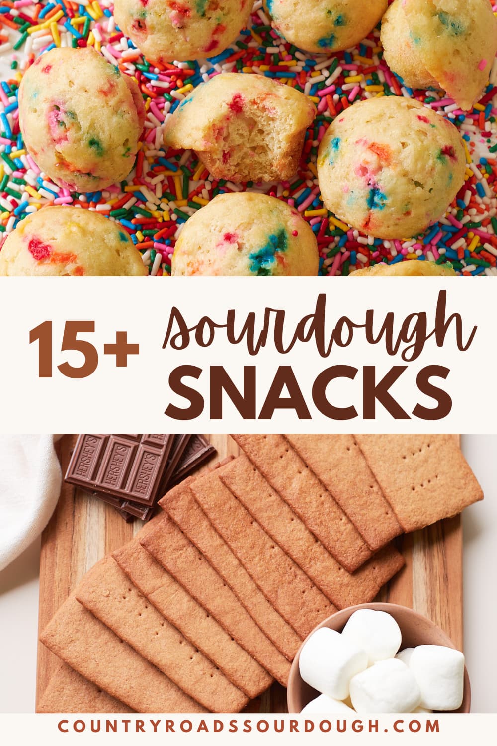 15+ Sourdough Snacks(with starter and discard) - Country Roads Sourdough