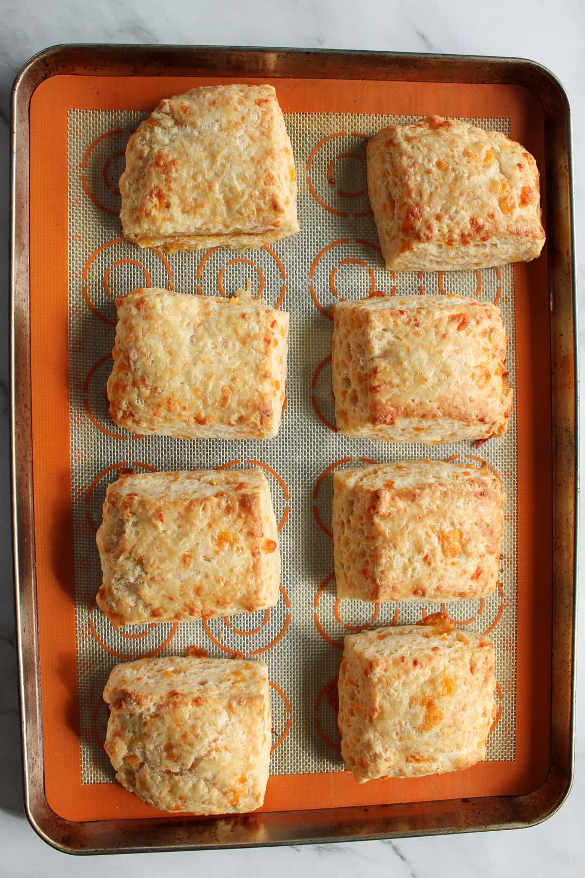 Easy Sourdough Cheddar Biscuits - Country Roads Sourdough